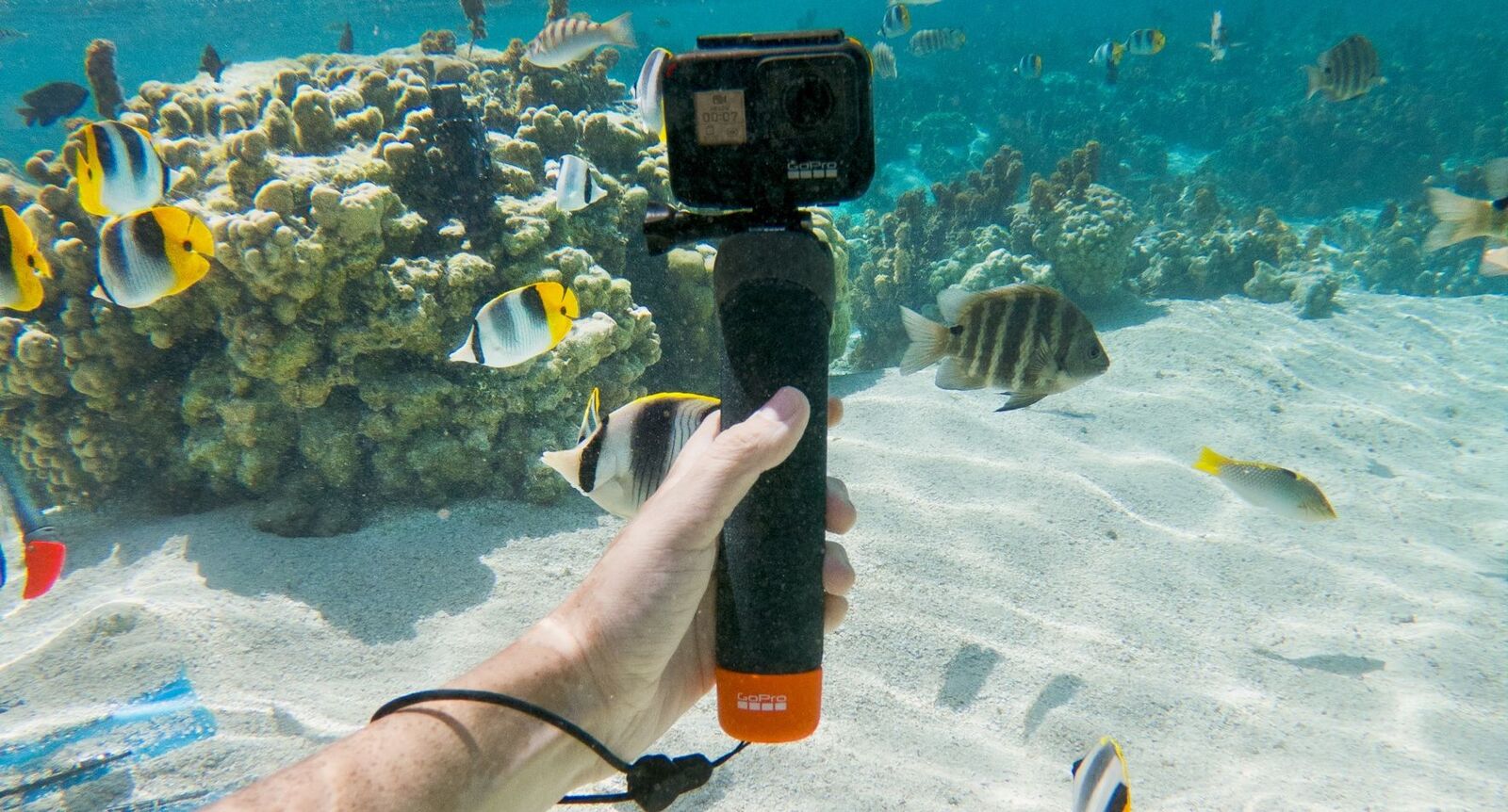 Buy GoPro The Handler | Camzilla Australia - GoPro specialist